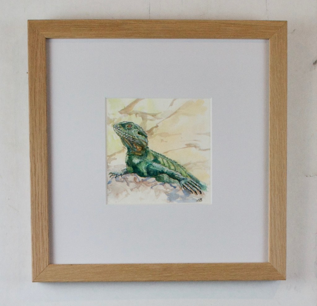 Paintings for Sale – Queanbeyan Art Society