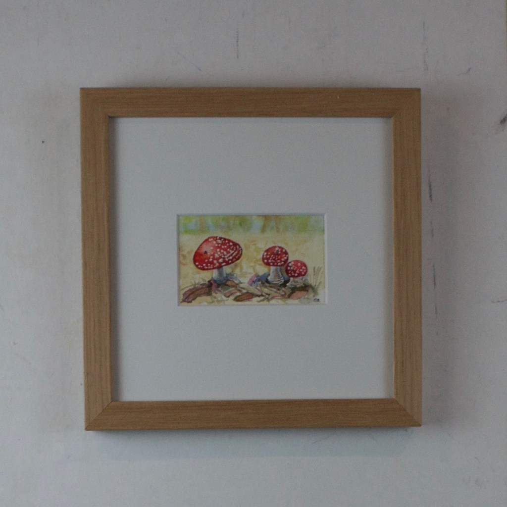 Paintings for Sale – Queanbeyan Art Society